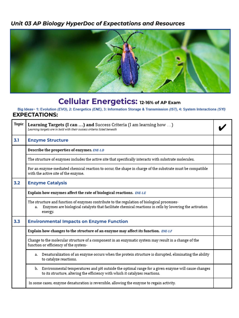 Unit 03 AP Biology Master HyperDoc Cellular Energetics | PDF | Electron Transport Chain ...