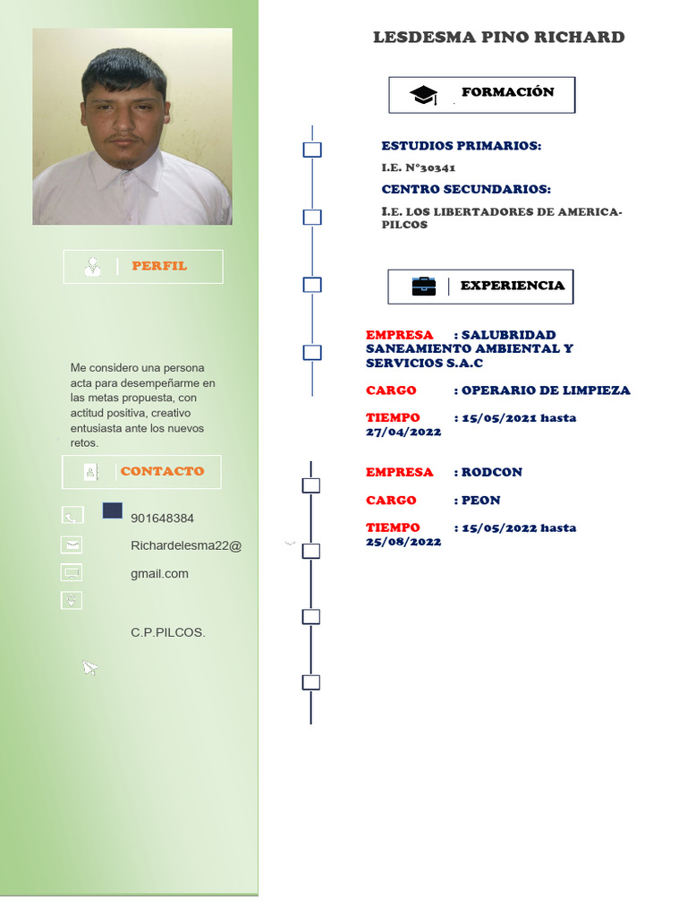 CV Richard | PDF