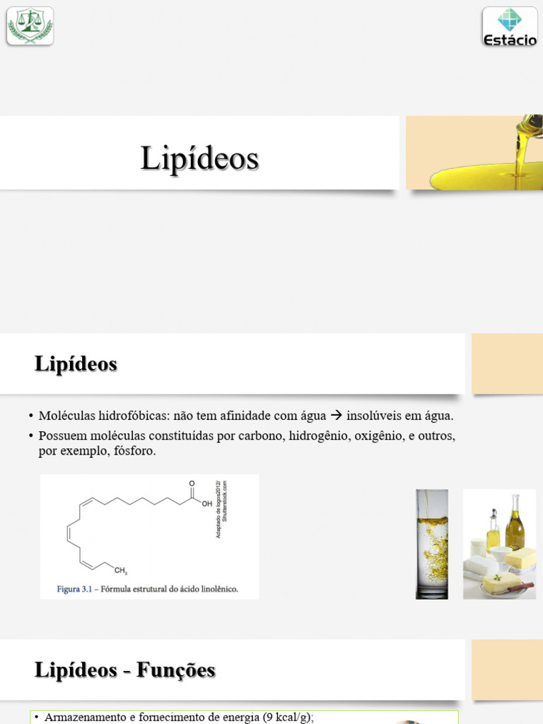 Funções e Classificação dos Lipídeos | PDF | Lipídio | Gordura