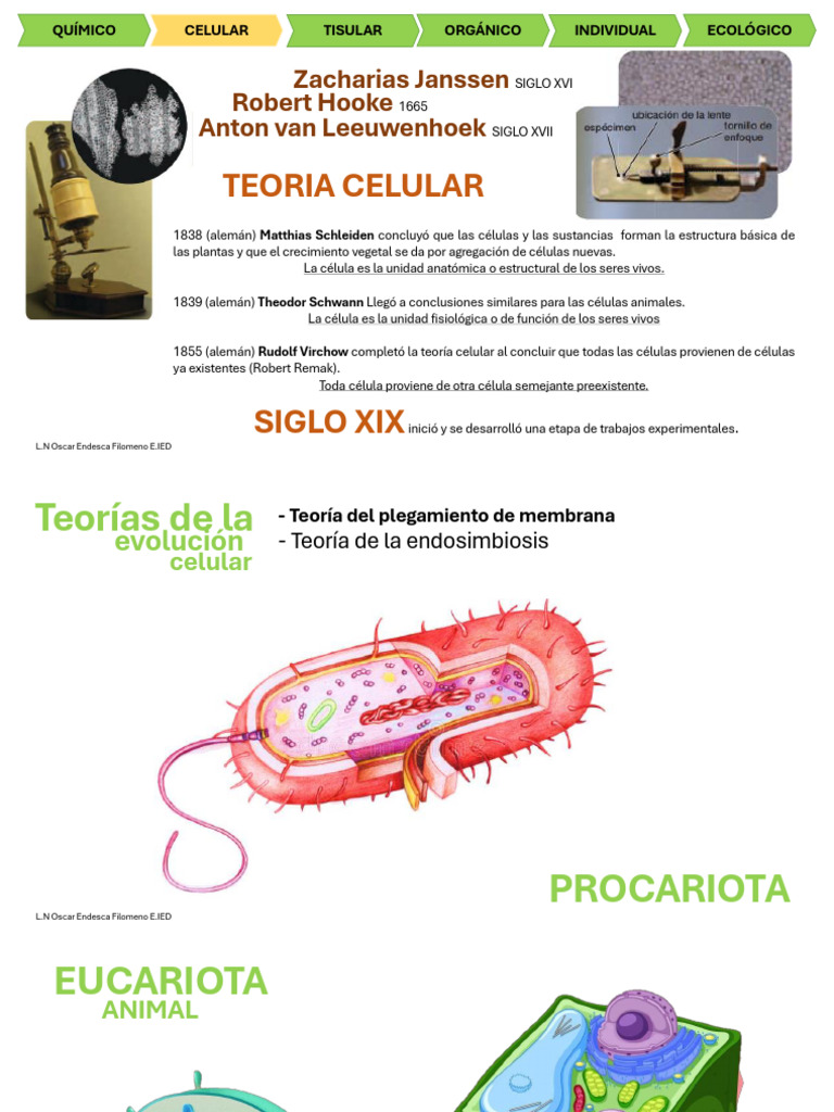 1. TEORIA CELULAR Y CELULAS | PDF