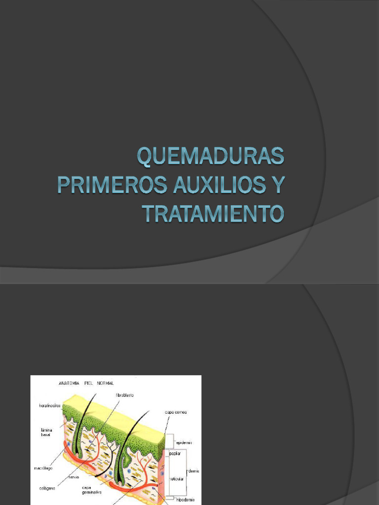 Guía Completa sobre Quemaduras y Tratamiento | PDF | Quemar | Herida