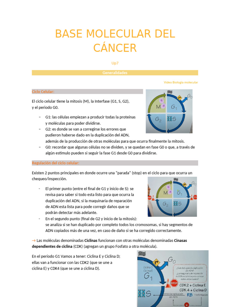 Células sanas vs. cancerosas: bases moleculares | PDF | P53 | Oncogen
