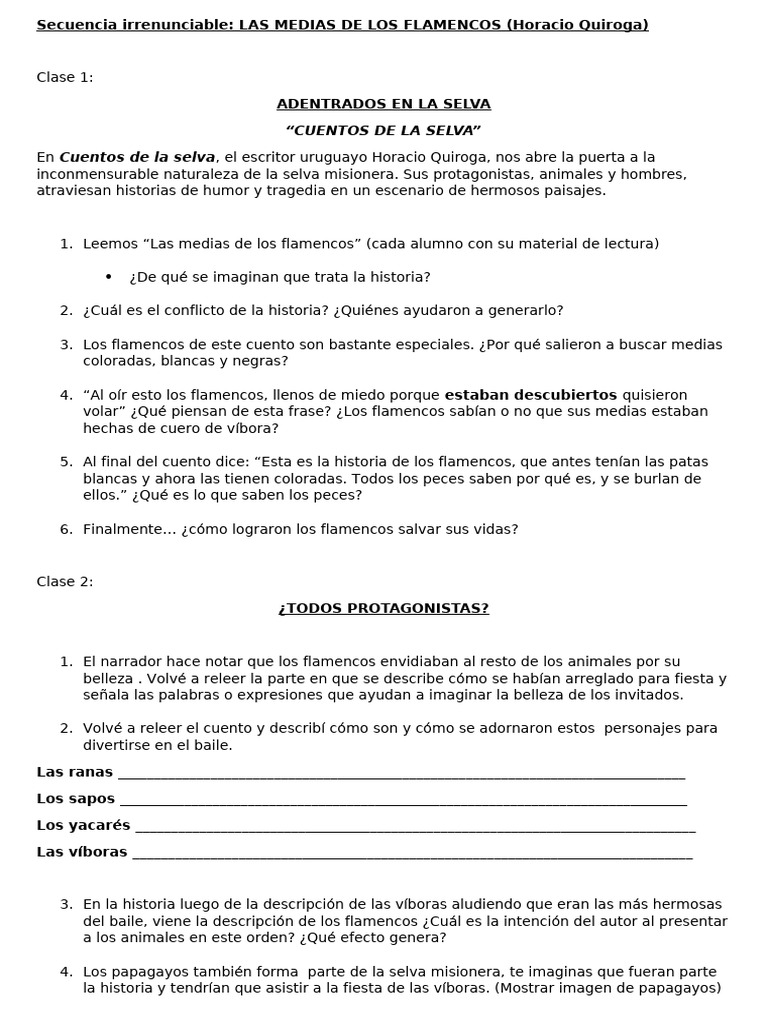 Las Medias de Los Flamencos 6° 2023 | PDF