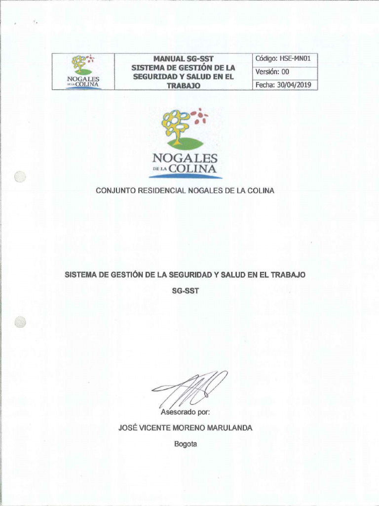 Nogales MANUAL-SG-SST | PDF