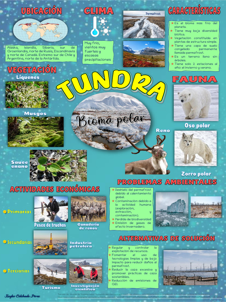 Tundra | PDF | Ciencias de la Tierra | Entorno natural