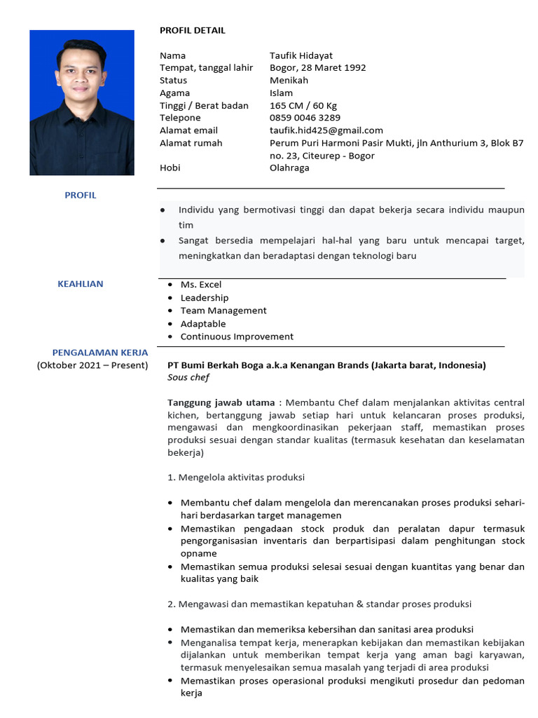 CV - Taufik Hidayat 2023 | PDF