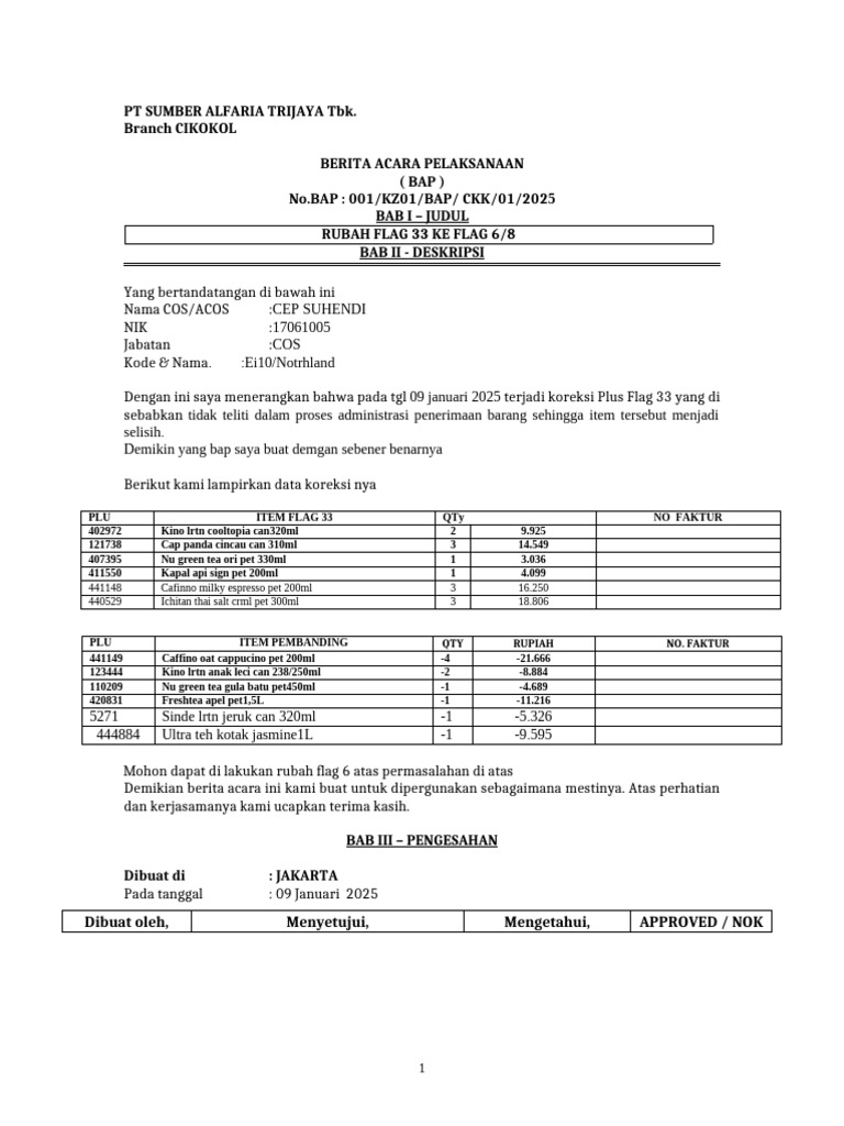 Format Bap Flag 33 Ei10 Nov 2024) | PDF