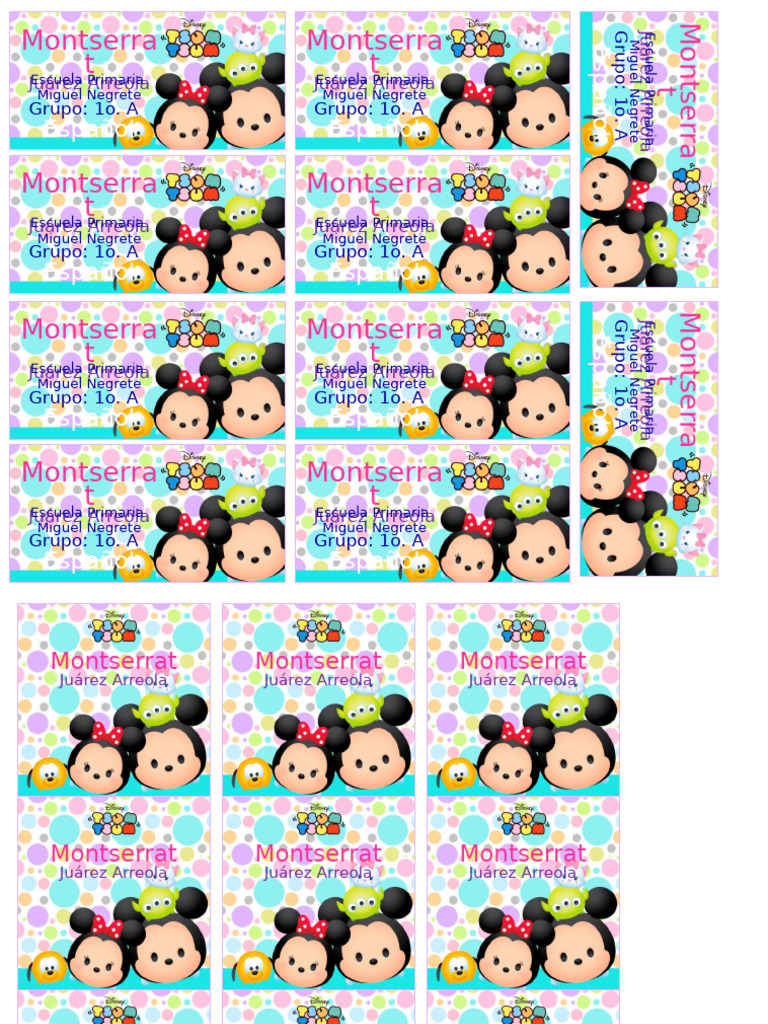 TSUM TSUM(1) | PDF
