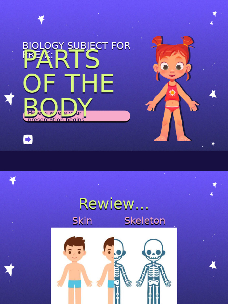 Parts of The Body | PDF