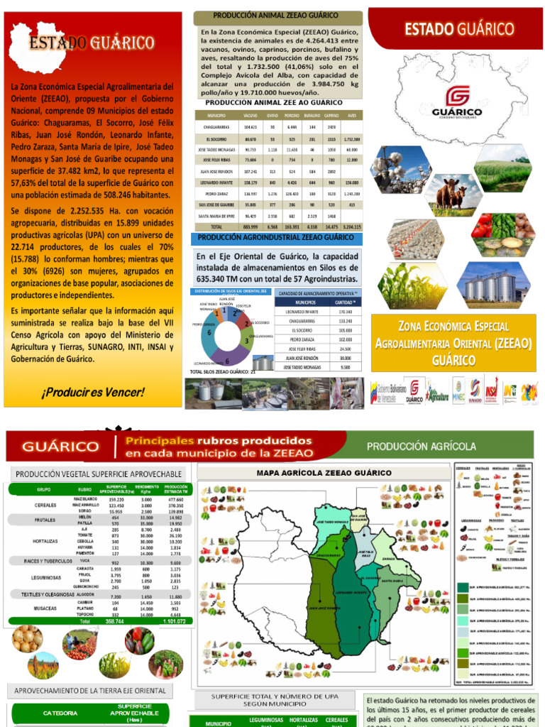Producción Animal y Silos en Guárico | PDF