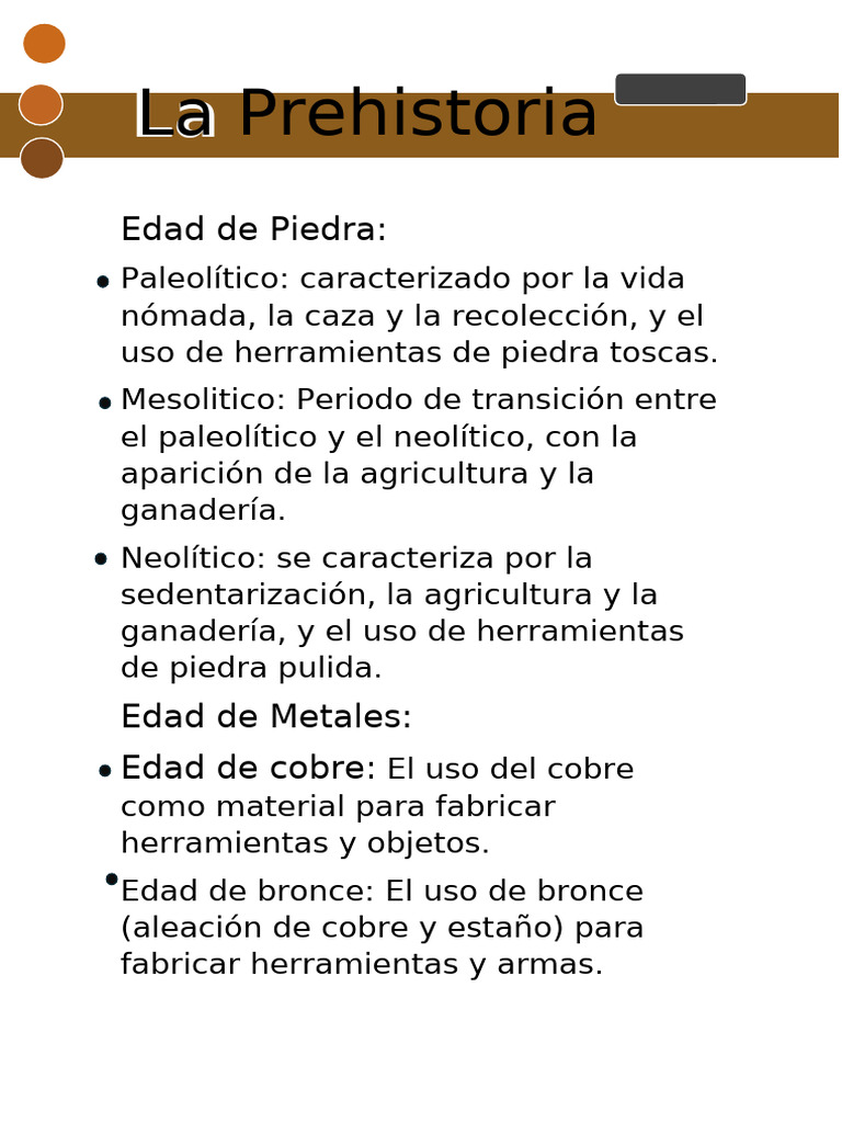 Resumen de la Edad de Piedra | PDF
