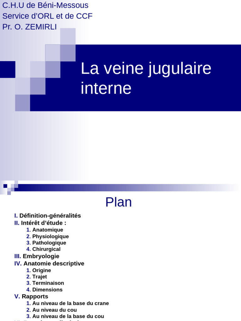 La Veine Jugulaire Interne 2 | PDF | Cou | Anatomie humaine