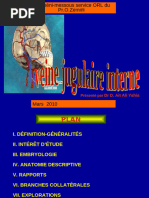 Anatomie de la veine jugulaire interne | PDF | Cou | Anatomie humaine