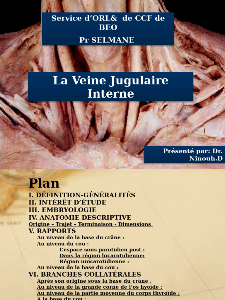Anatomie de la Veine Jugulaire Interne | PDF | Cou | Anatomie humaine