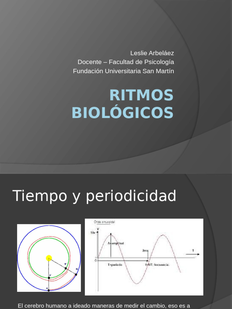 Sueño 2 | PDF | Memoria | Lóbulo temporal