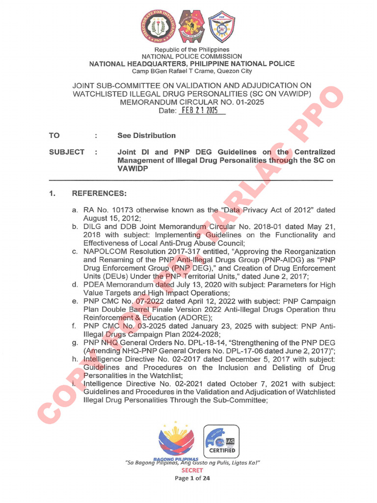 03.03.2025 Joint - DI - and - PNP - DEG - Guidelines - On - The ...