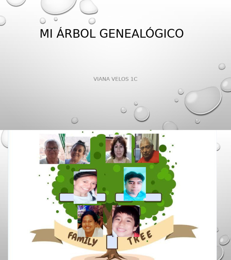 Mi Árbol Genealógico | PDF