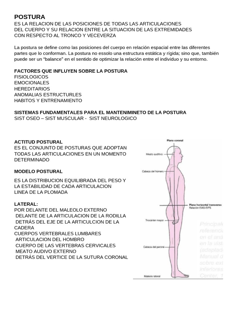 POSTURA | PDF | Articulación | La columna vertebral