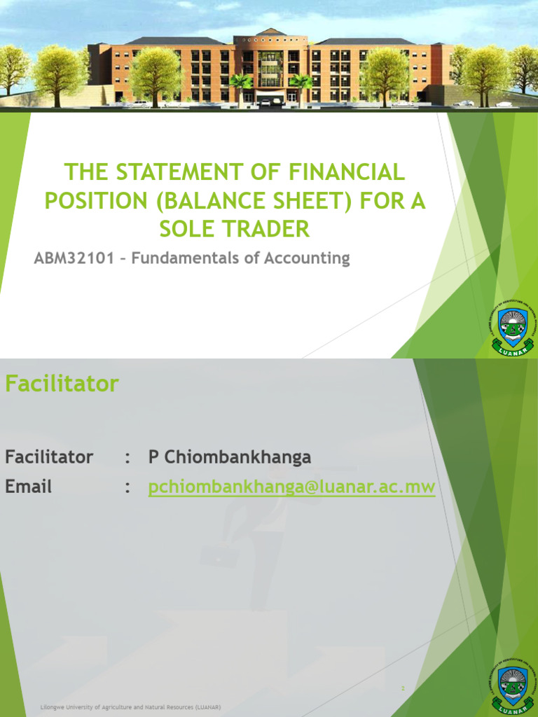 Balance Sheet Guide for Sole Traders | PDF | Balance Sheet | Book Value