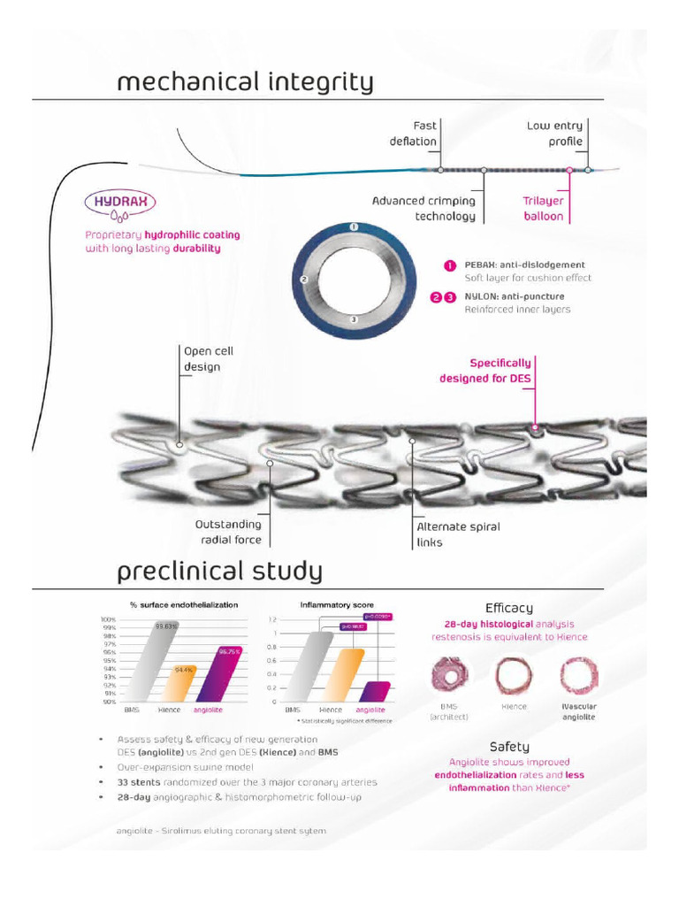 Stent Angiolite Ivascular 2 y 3 | PDF