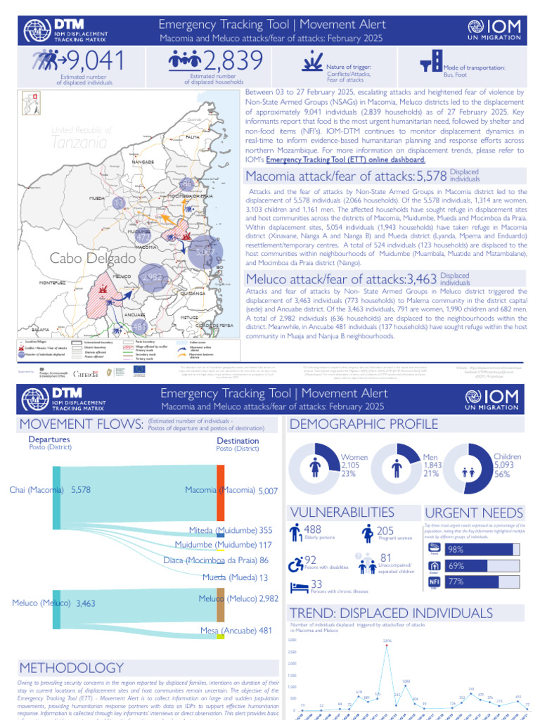 Mozambique ETT Movement Alert Report Monthly Update - February - 2025 | PDF | International ...