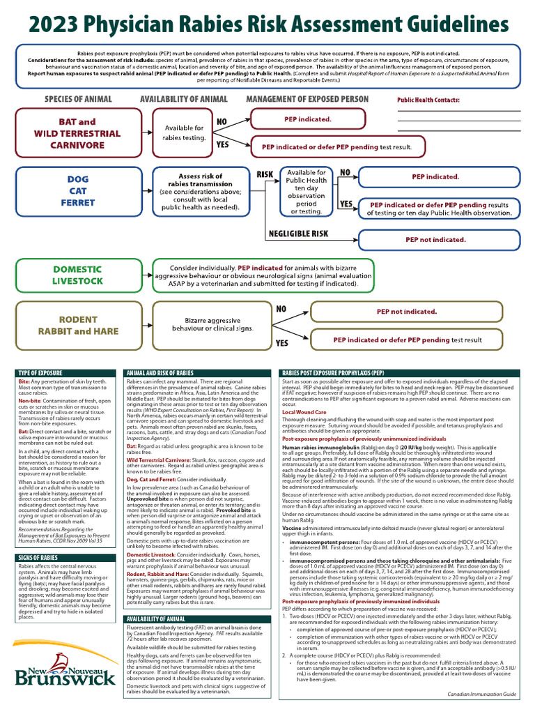 2023 Physician Rabies Risk Assessment Guidelines | PDF | Rabies ...