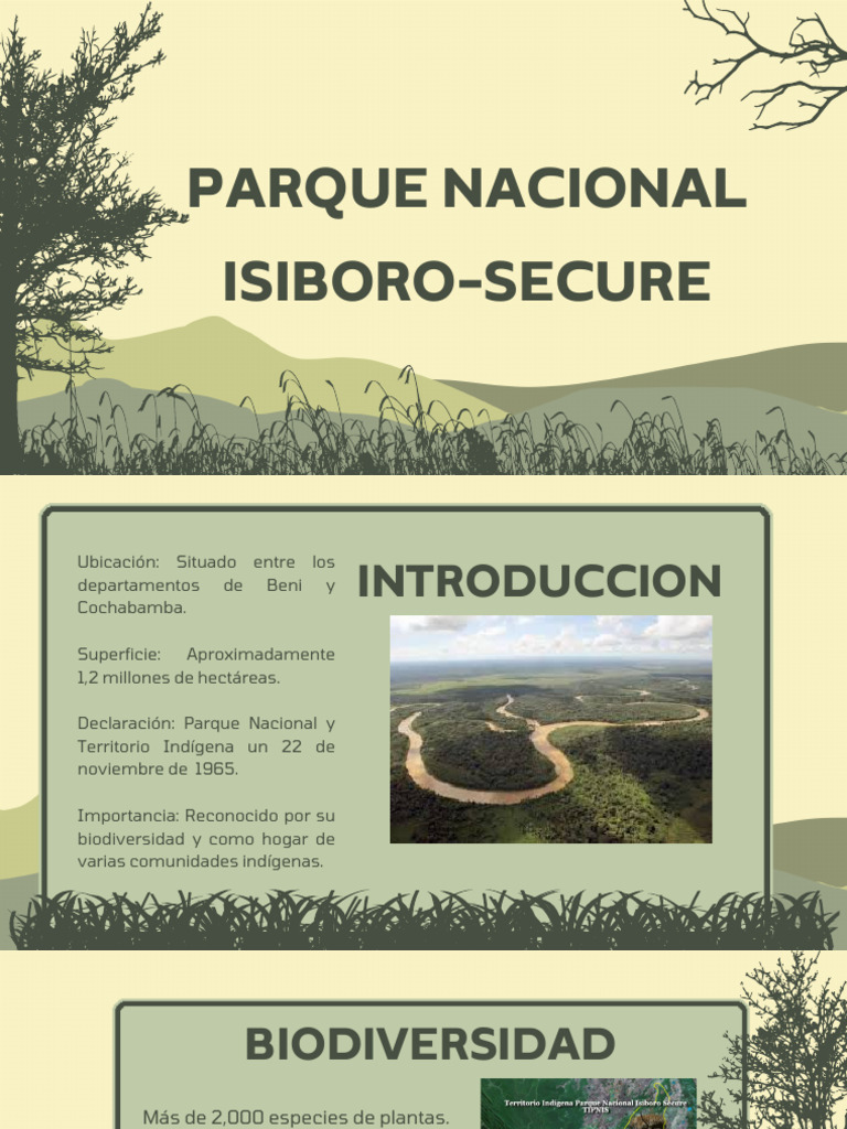Parque Nacional Isiboro-Secure: Biodiversidad y Cultura | PDF
