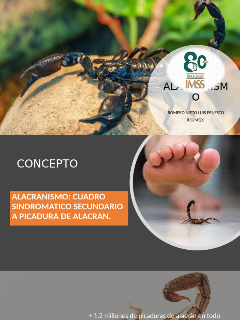 Alacranismo: Epidemiología y Tratamiento | PDF | Veneno | Fisiología