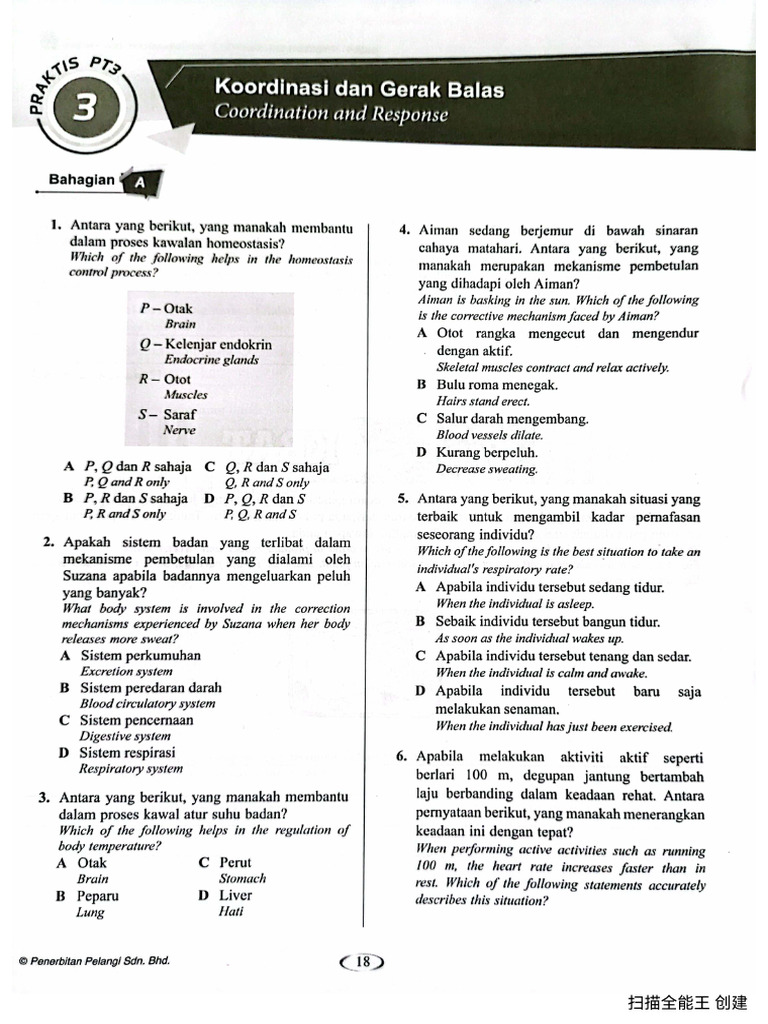 F1 SC Praktis Hebat chp3 | PDF