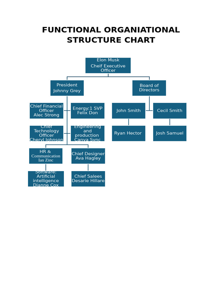 Tesla Functional Organizational Chart 2025 | PDF