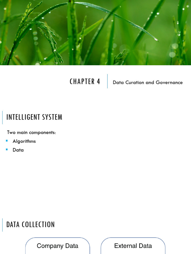 Chapter 4- Data Curation and Governance | PDF