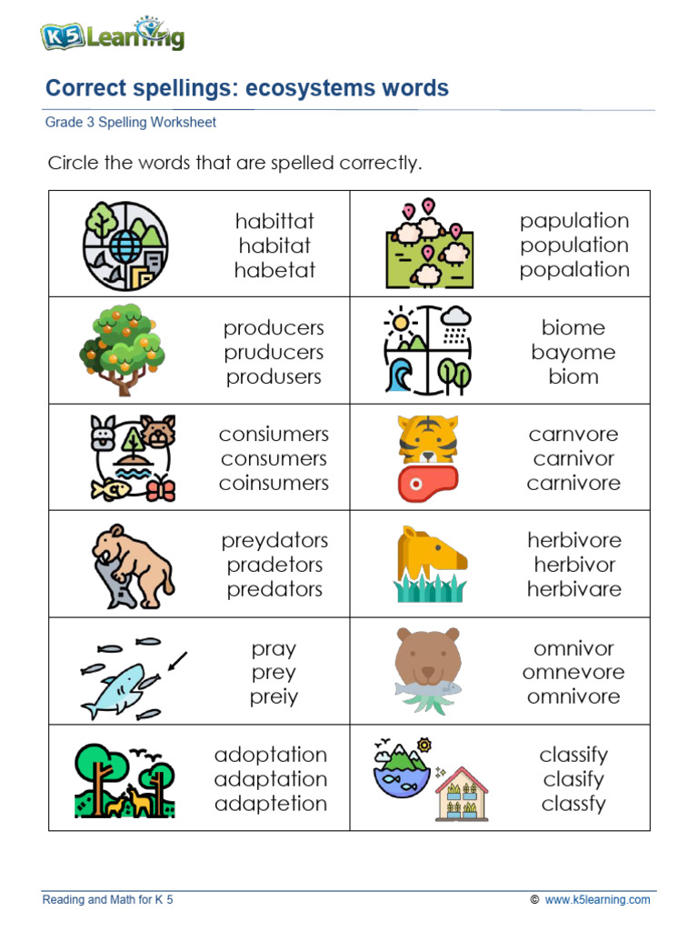 Grade 3 Spelling Worksheet: Ecosystems | PDF