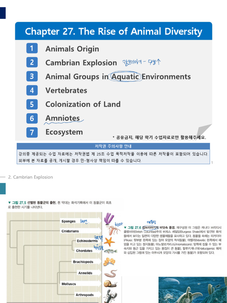 일반생물학ch27 | PDF | Mammals | Amphibian