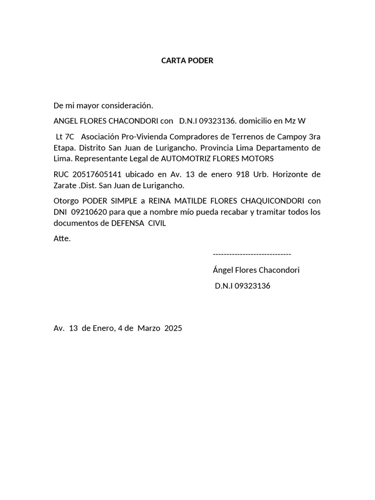 Carta Poder para Defensa Civil | PDF