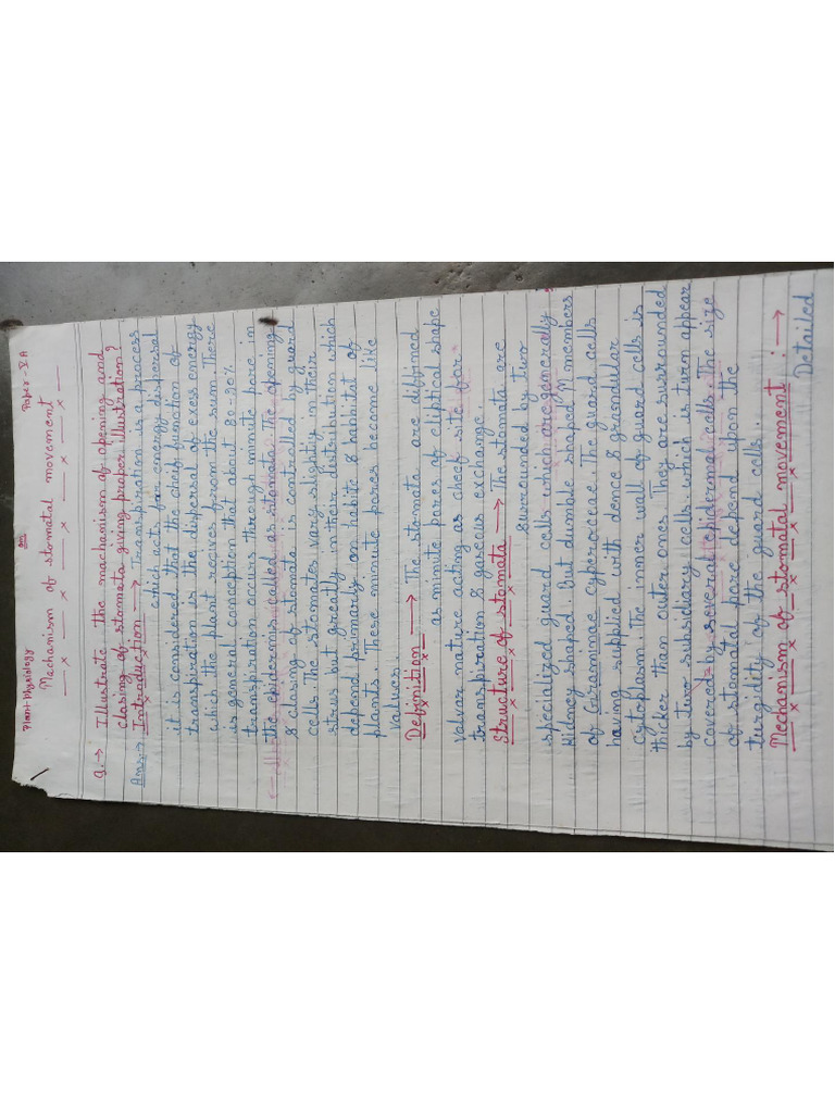 Mechanism of stomatal movement | PDF