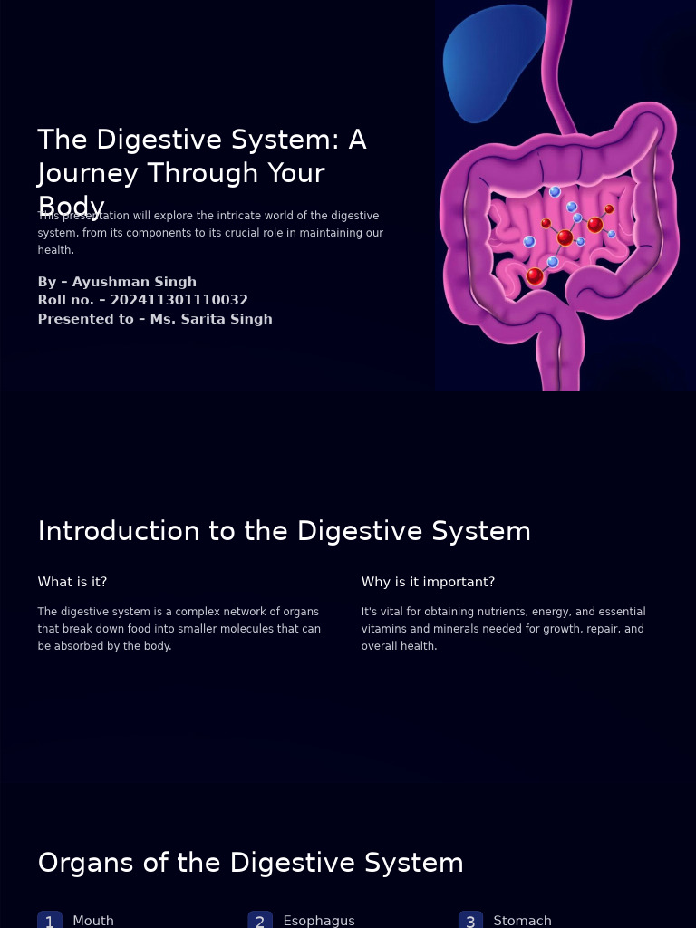 Understanding the Digestive System | PDF | Digestion | Gastrointestinal ...
