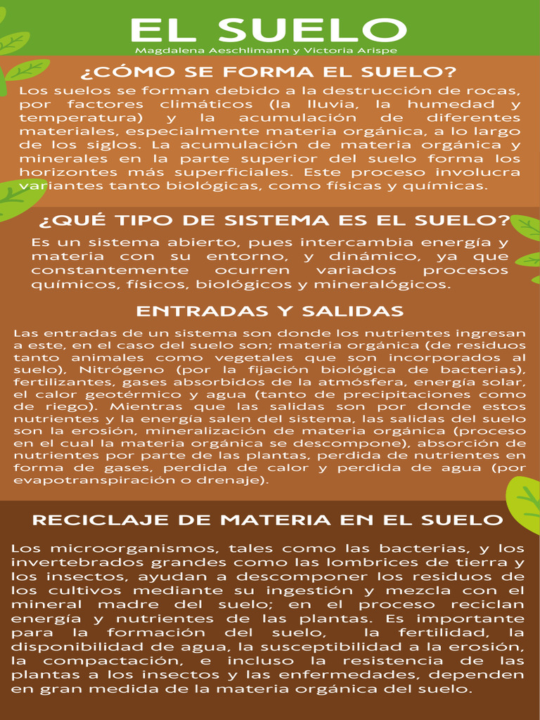 Formación y Funciones del Suelo | PDF