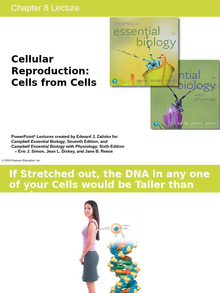 08+Cellular+Reproduction+MitosisMeiosis | PDF | Meiosis | Mitosis