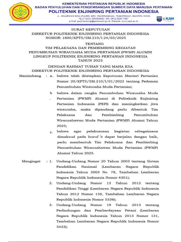 SK Tim Pelaksana PWMP 2025 | PDF