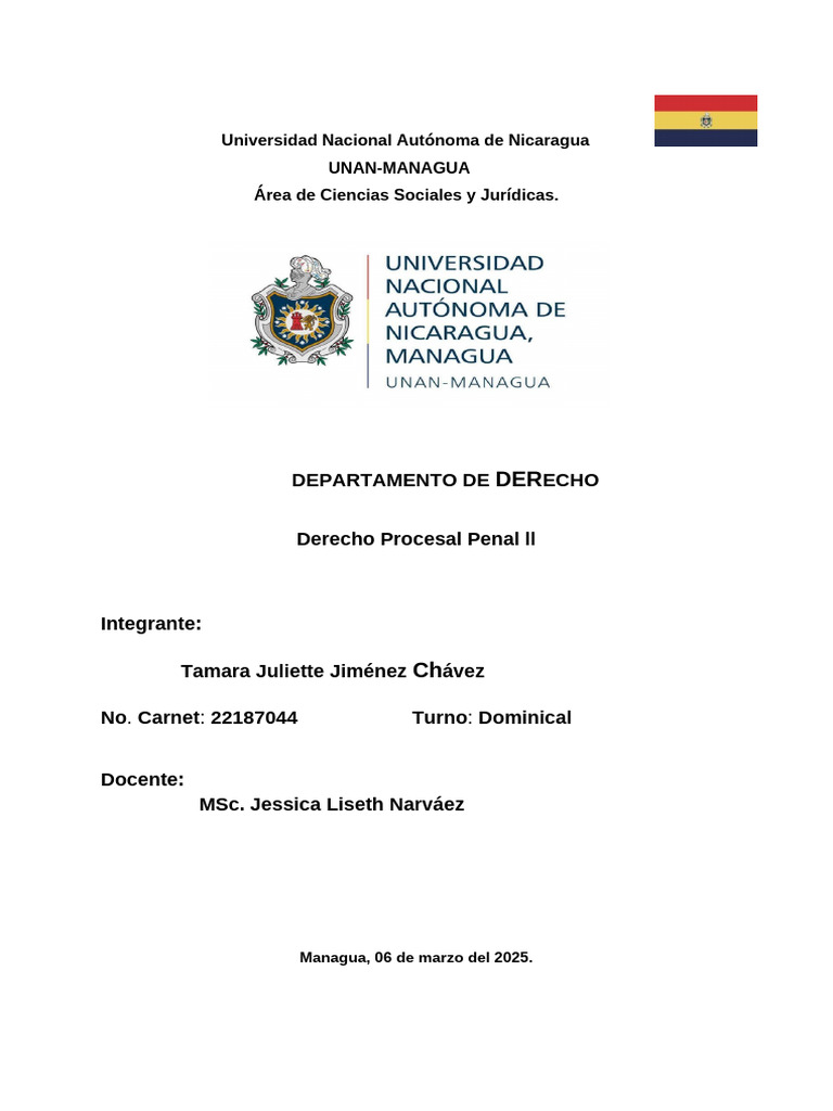 Derecho Penal - Tamara Jimenez Chavez | PDF | Derechos | Ley procesal