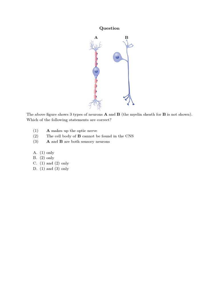 Neuron Type | PDF