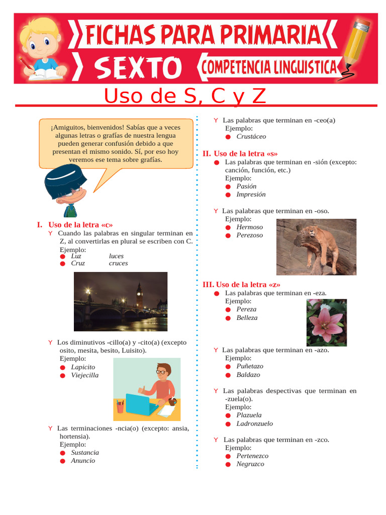 Uso de S C y Z | PDF