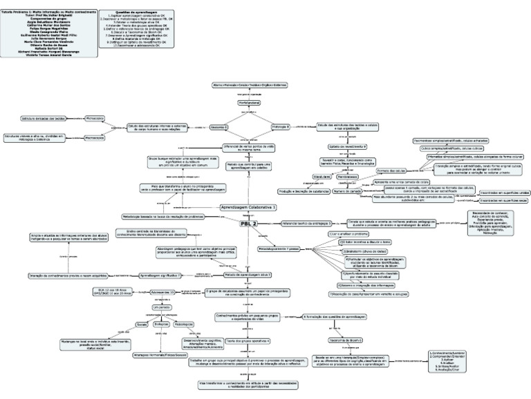 Problema 1 Encerramento Brighetti 2023 2.Cmap | PDF