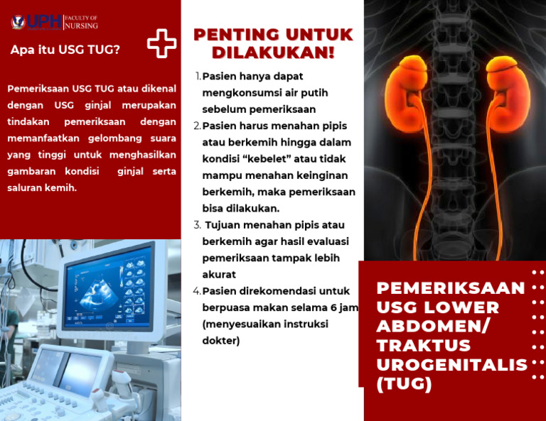 Pedoman Usg Tug | PDF