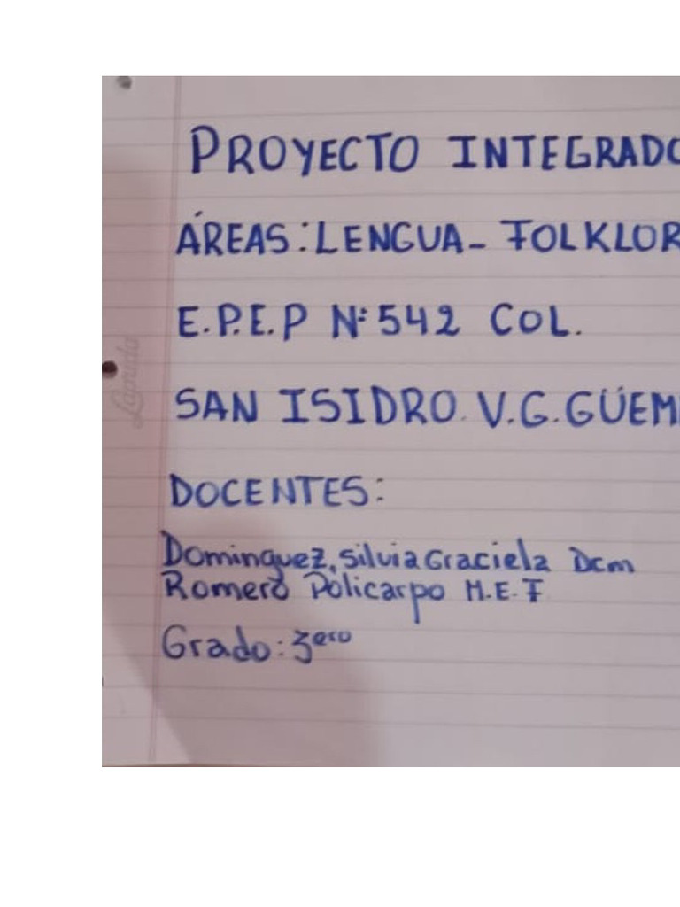 Alfabetizaci N Graciela Dom Nguez | PDF