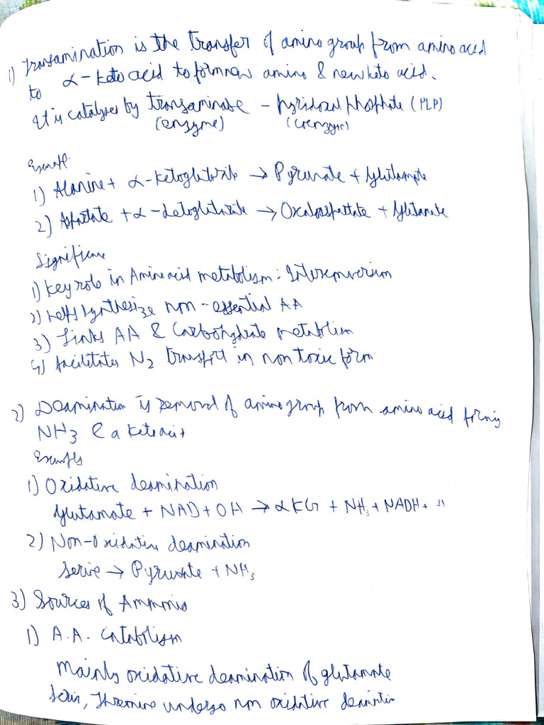 SDL 2 Mar 2025 | PDF