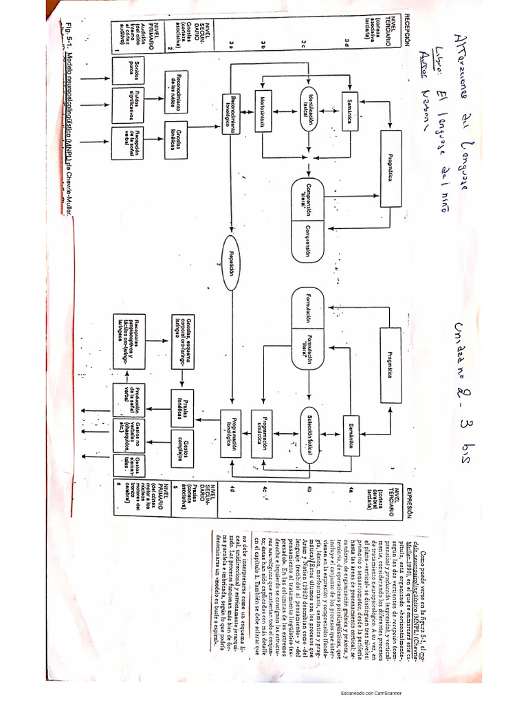 Modelo NPL. Bibliog Alessandri | PDF
