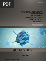 Fisiopatología de Las Infecciones Por Adenovirus | PDF | Adenoviridae | Nucleo celular