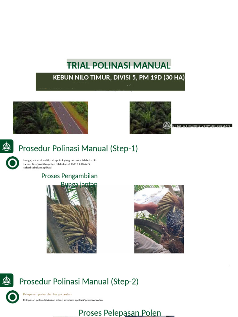 Presentasi Trial Polinasi 19d | PDF | Palm Oil | Malaysia