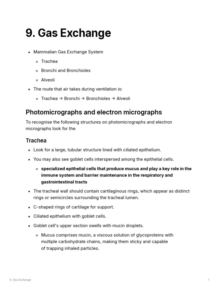 Mammalian Gas Exchange Structures | PDF | Respiratory Tract | Lung